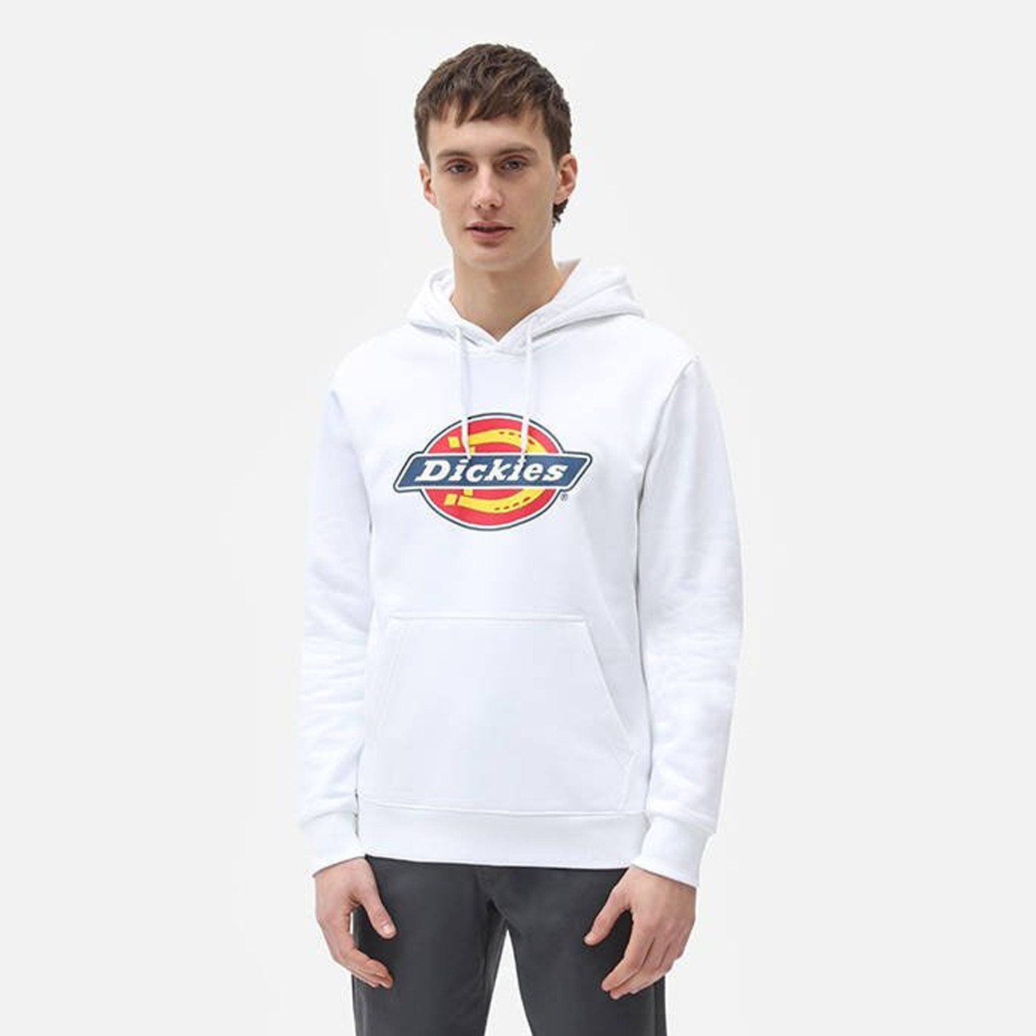 Dickies Icon Logo Ανδρικό Φούτερ 9000085748 1539 Sne Snif Gr